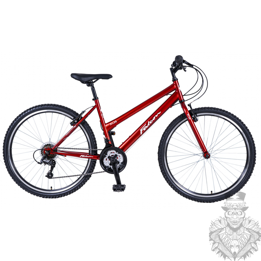 Falcon XC26 Low Step MTB 17" Frame - Sk8 or Die